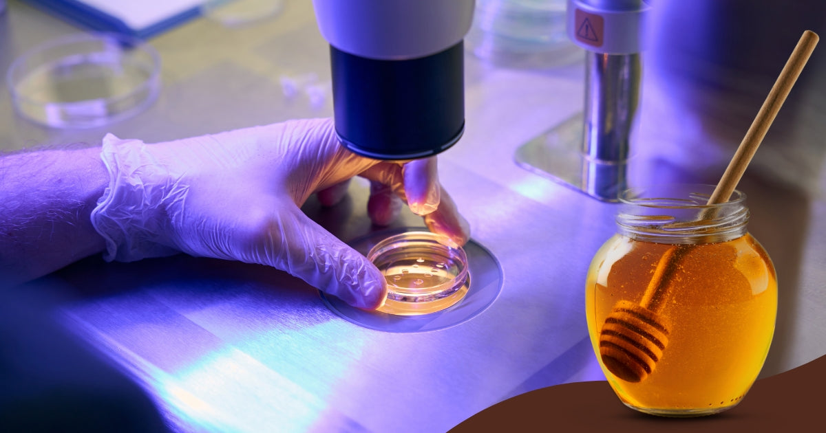 Real Honey vs Fake Honey under a microscope – Honey and Spice