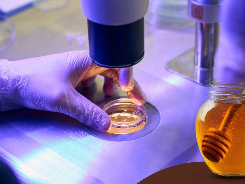 What is HMF in Honey? – Honey and Spice