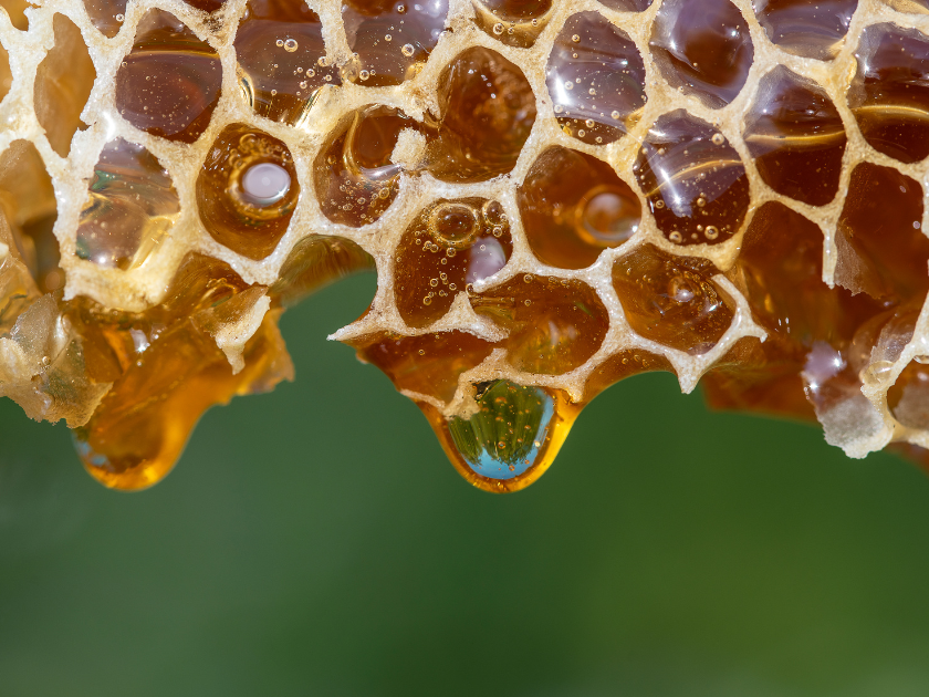 Honey Purity Test at Home: Easy and Effective Tips! – Honey and Spice