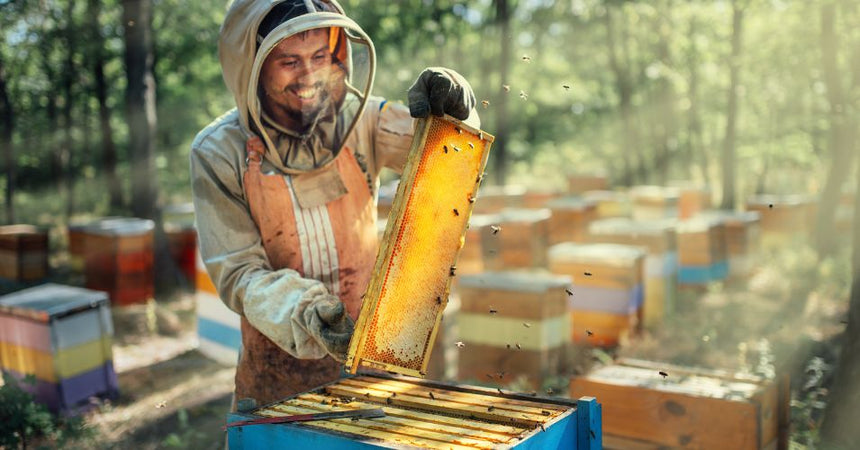 What is HMF in Honey? – Honey and Spice