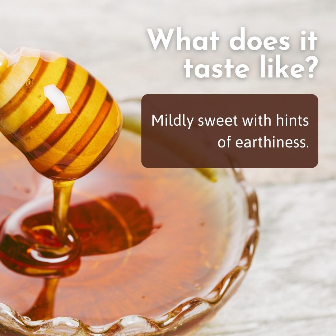 Moringa Honey – Honey and Spice